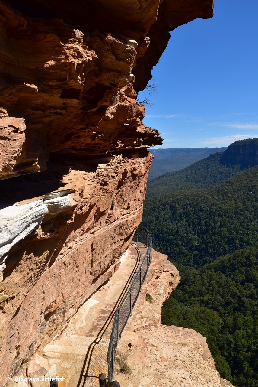 2024年3月に訪れたオーストラリア、シドニーの旅行記 | 旅は無限 – わたしStyle